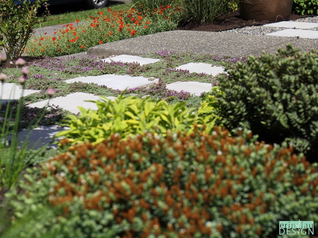 Full Sun Front Yard
